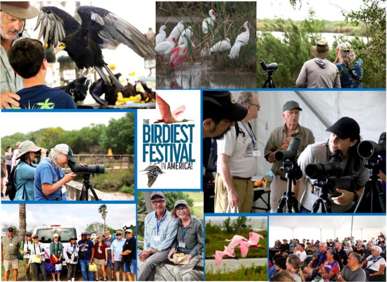 BIRDIEST FESTIVAL IN AMERICA-- UPDATE! | South Texas Botanical Gardens ...